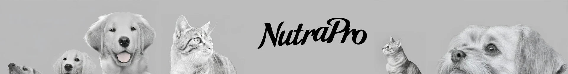 nutrapro-6148732.webp?v=1763571198